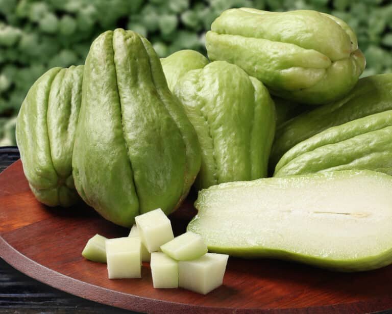 Como plantar chuchu: Guia completo e o segredo para cultivar chuchu em ...