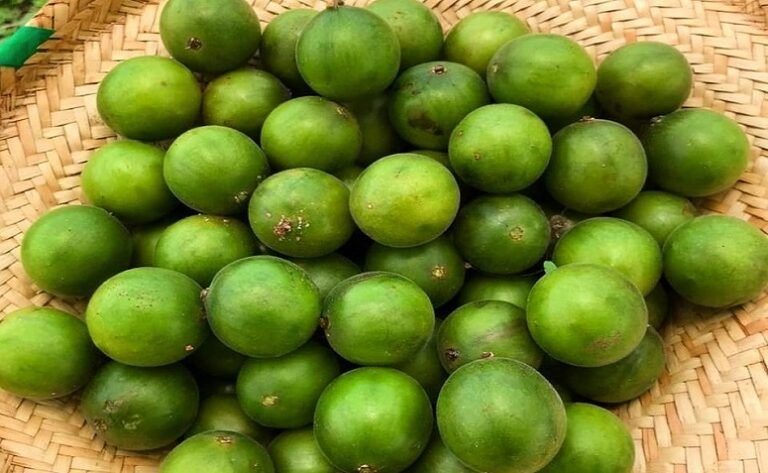 Como plantar umbu: dicas certeiras para cultivar a fruta